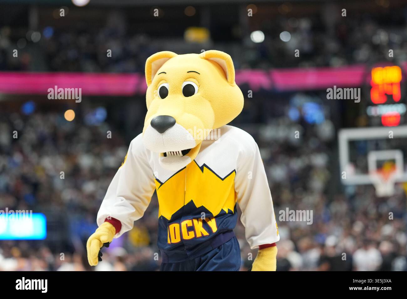 Denver Nuggets mascot Rocky the mountain lion in the first half of an ...