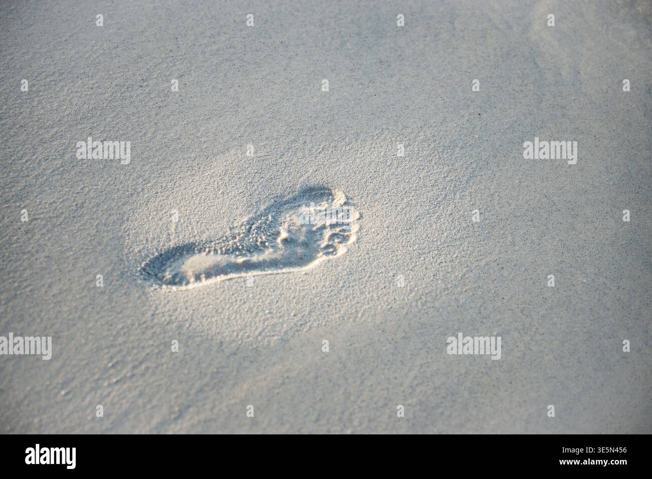 Simple composition of footprint in sand with copy space hi-res stock ...