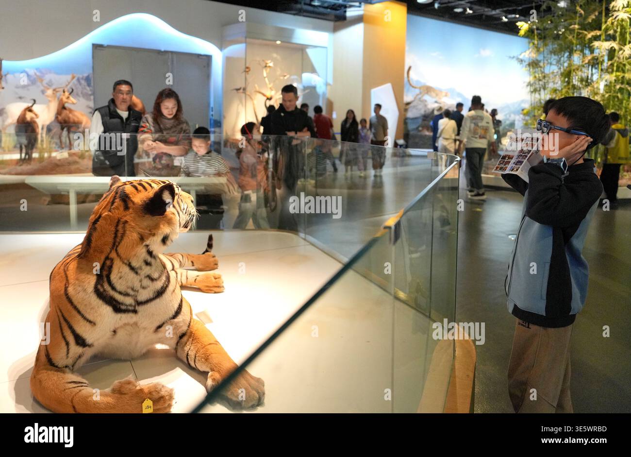 Chengdu,China.2nd April 2026. Students enjoy the spring break at the ...