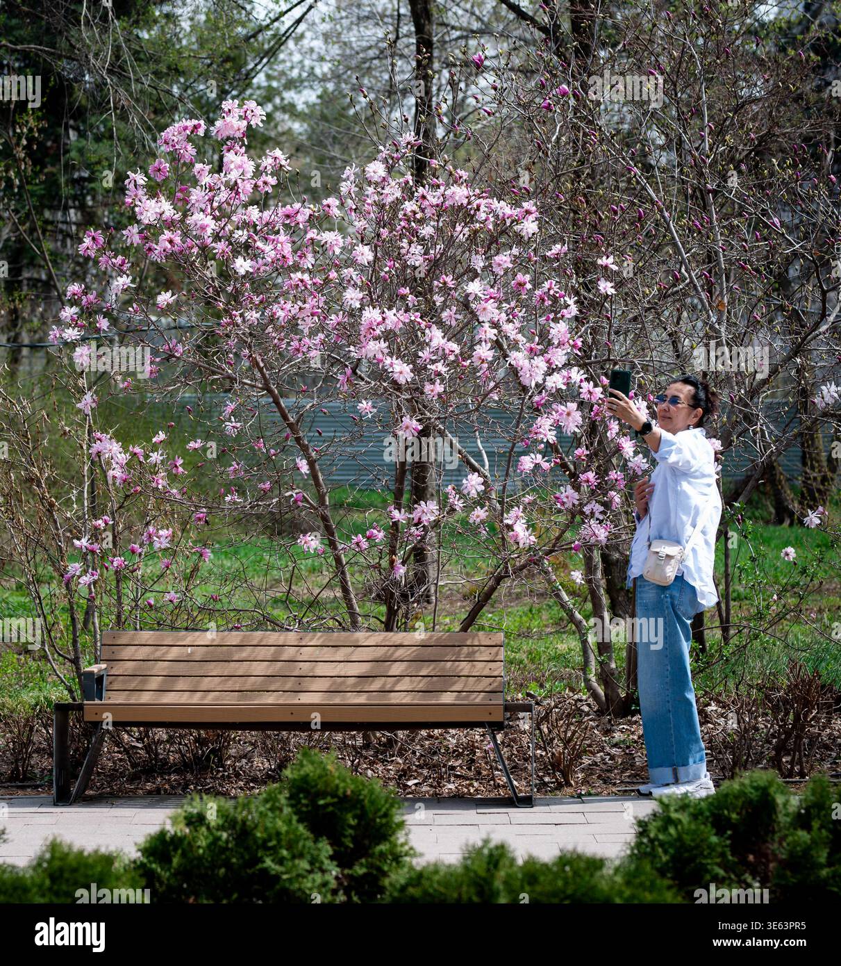(260404) -- ALMATY, April 4, 2026 (Xinhua) -- A woman takes a photo at ...