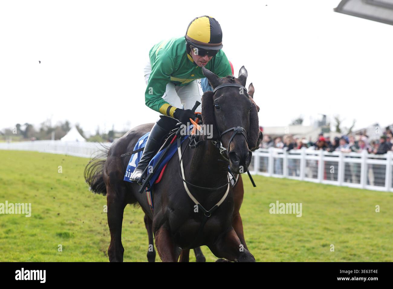 Alliteration ridden by Donagh Meyler wins the Irish Stallion Farms EBF ...