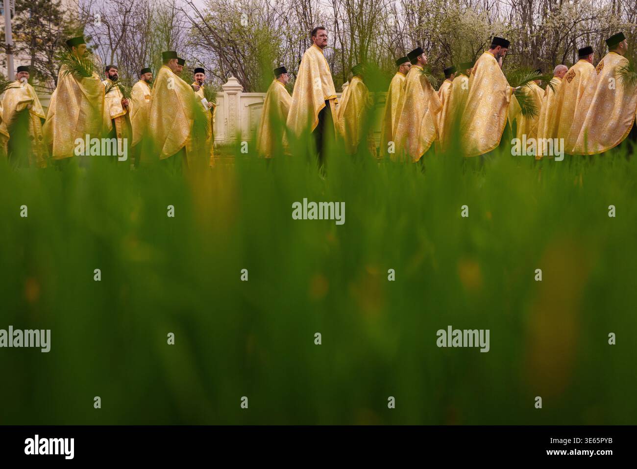 Romanian Orthodox priests and believers walk during a Orthodox Palm ...