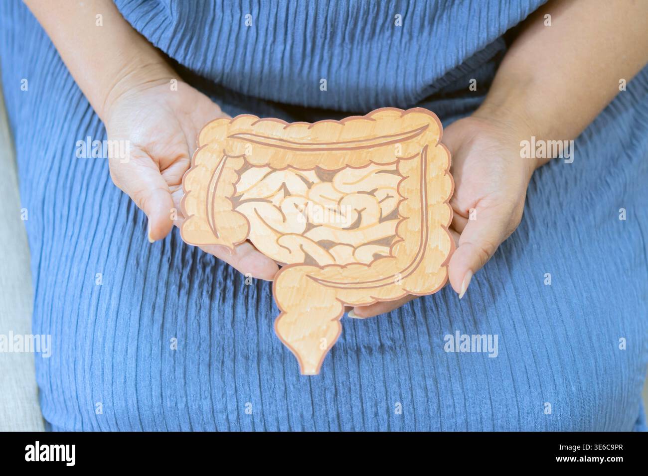 Senior woman hands holding intestine shape, healthy bowel digestion ...