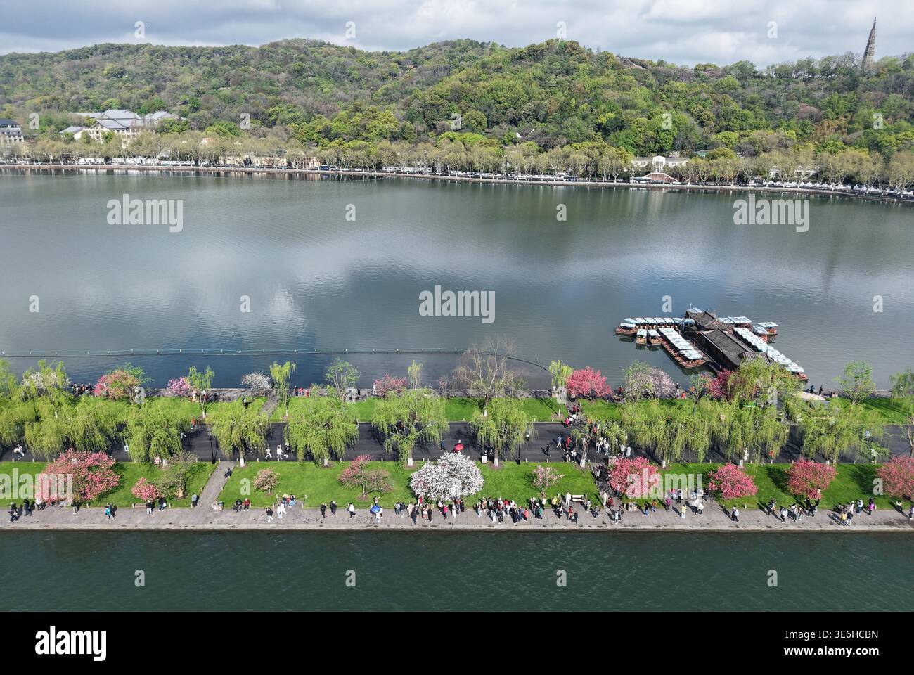 Tourists enjoy the spring scenery of peach blossoms and willow greens ...