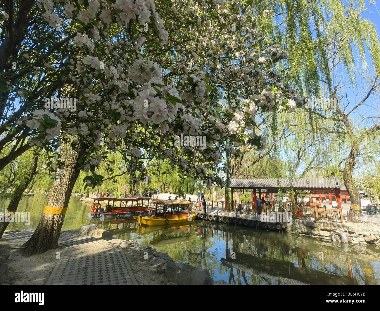 Visitors enjoy blooming peonies and crabapples during the 31st Spring ...