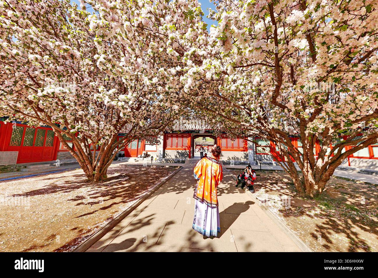 Crabapple flowers bloom at Prince Gong Mansion in Beijing, east China's ...