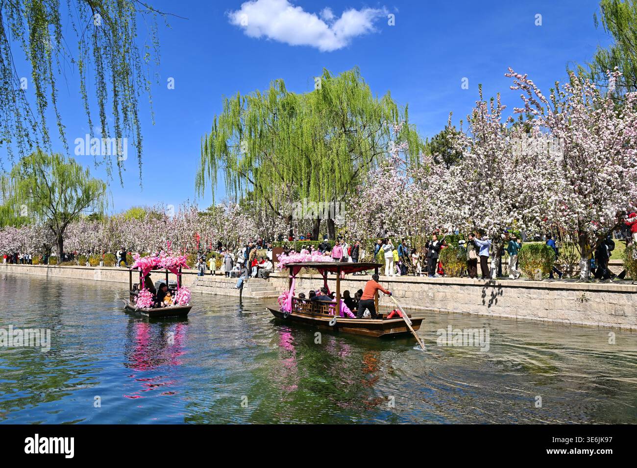 Visitors admire blooming crabapple flowers at Yuan Dynasty Relics Park ...
