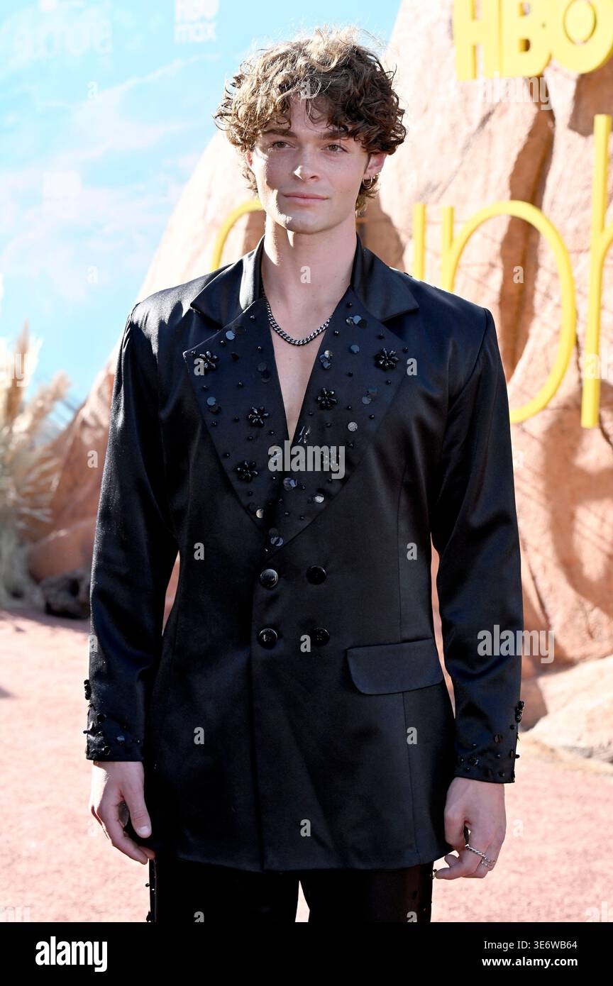 Tyler Lawrence Gray at the premiere of the 3rd season of the HBO series ...