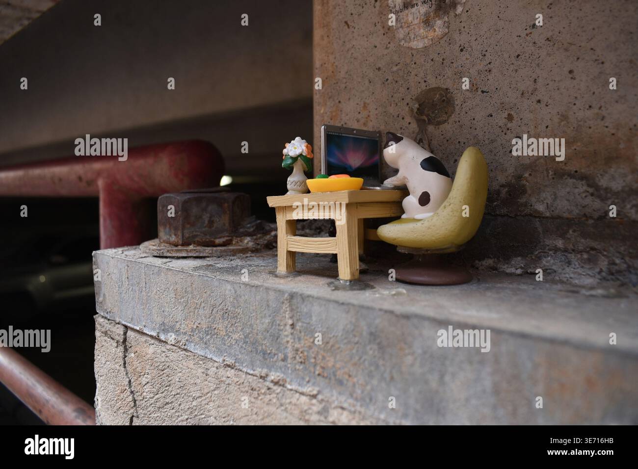 A concealed display shows a cat typing on a computer at the Hattiesburg ...