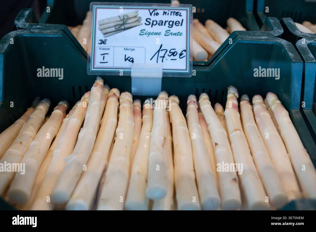 Fresh asparagus in a refrigerated display case in the farm shop ...