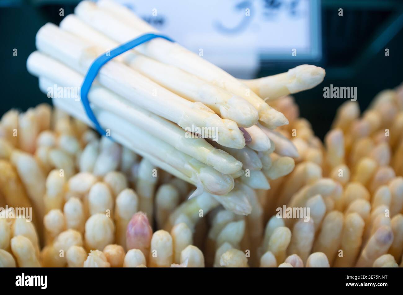 Fresh asparagus in a refrigerated display case in the farm shop ...
