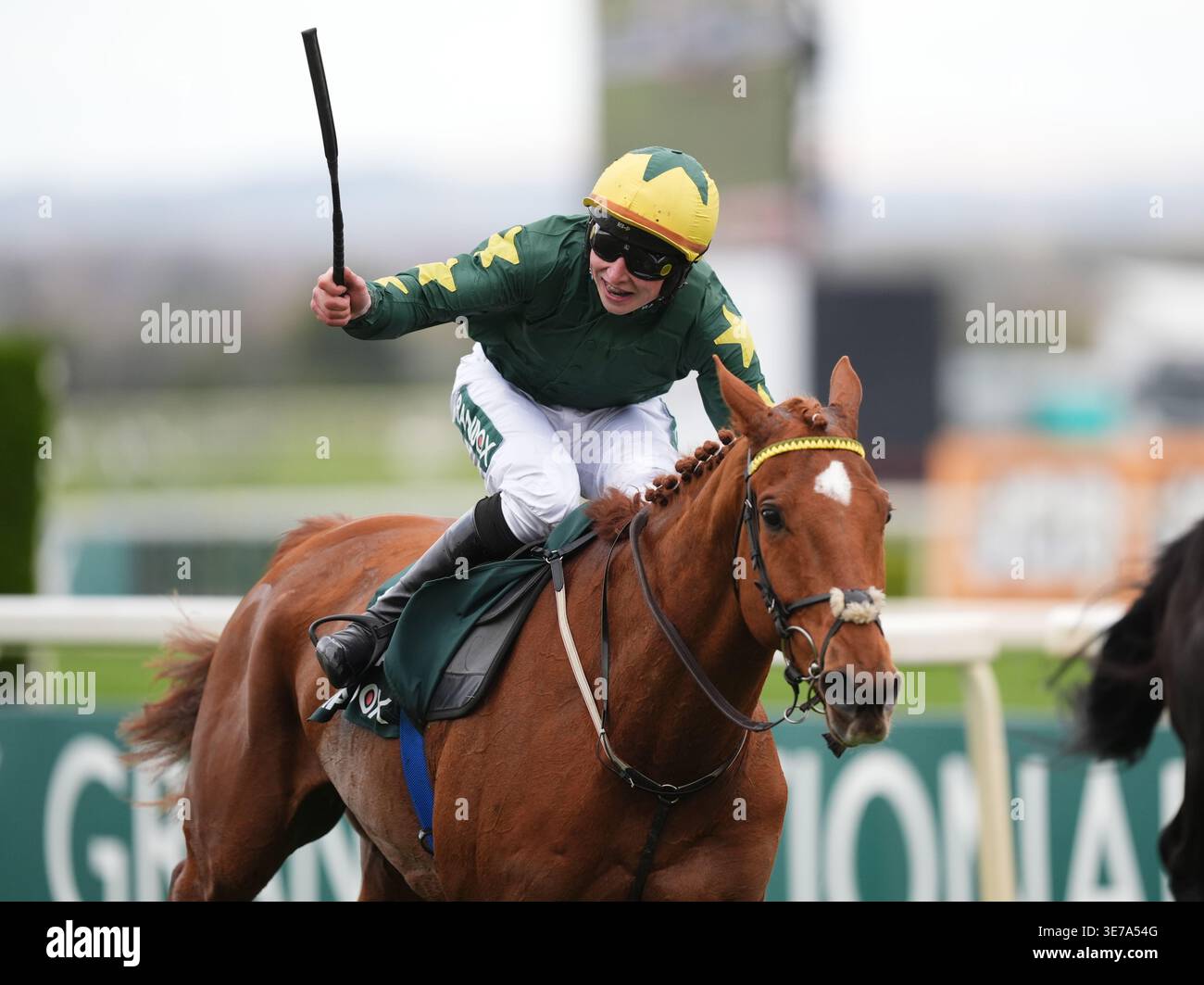 Will The Wise ridden by Conor Stone-Walsh on the way to winning the ...