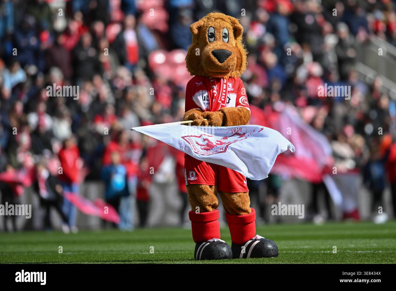 Boro mascot Rory the Lion during the Sky Bet Championship match between ...