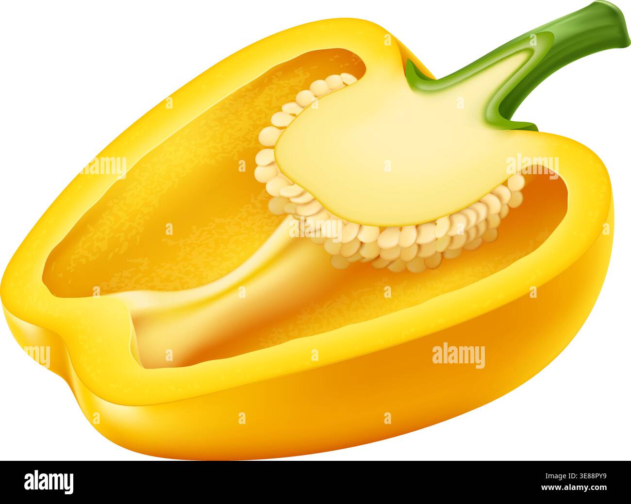 Realistic ripe raw bell hi-res stock photography and images - Alamy