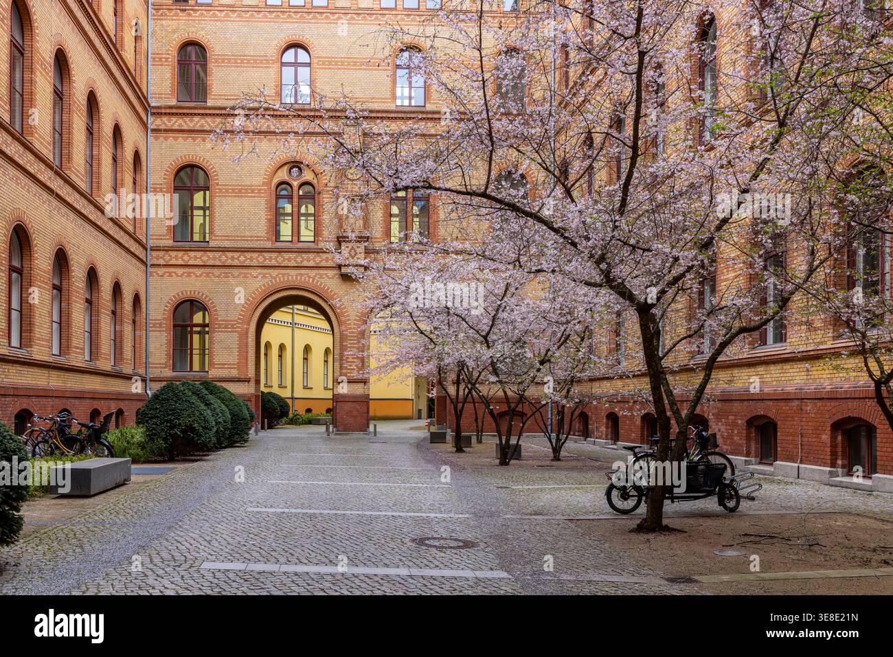 Bundesministerium der Finanzen Postblock. Innenhof mit blühenden Bäumen ...