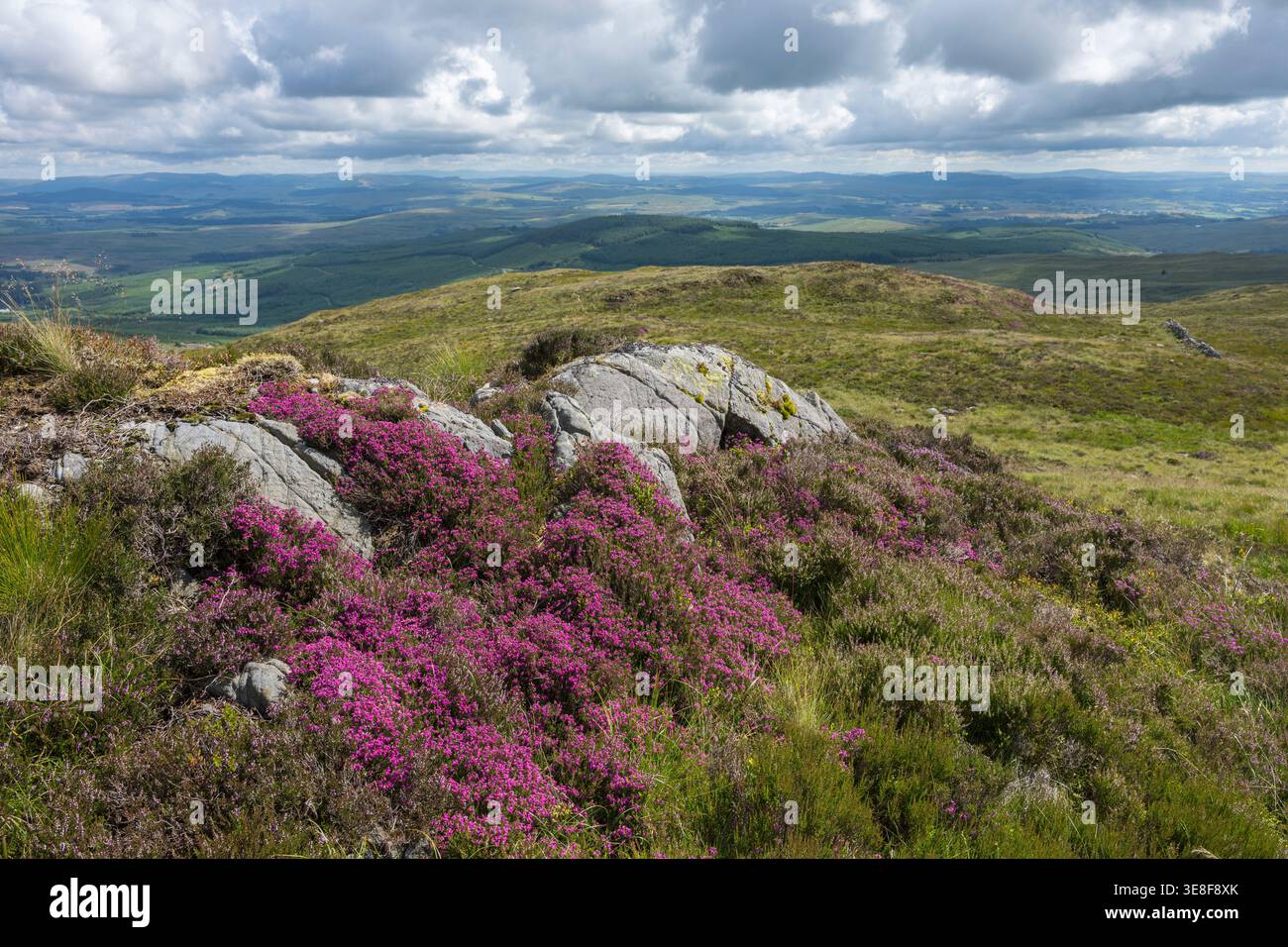 Walk to Corserine, Dumfries and Galloway Stock Photo - Alamy