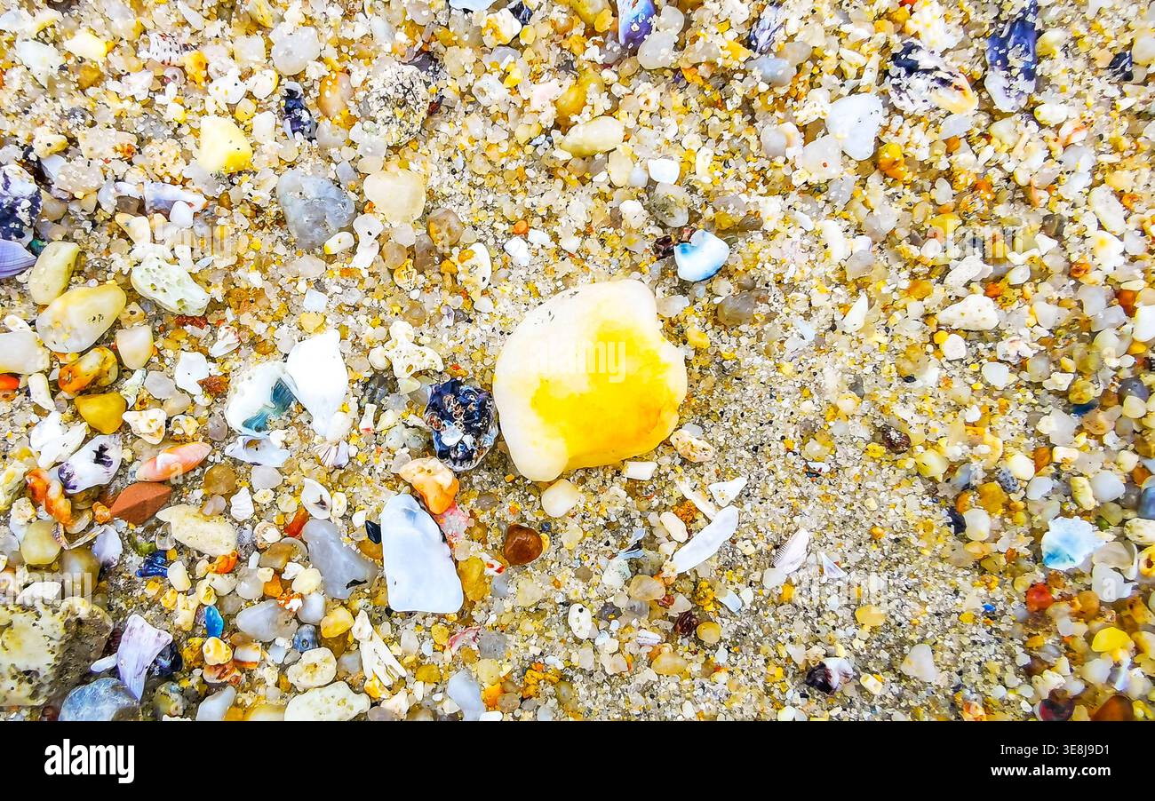 Beach sand with pebbles stones rocks colorful shells mussels and ...
