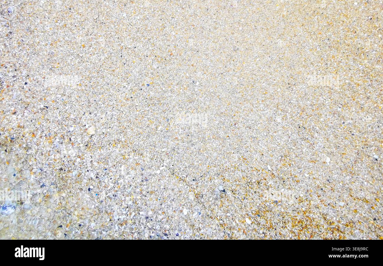 Beach sand with pebbles stones rocks colorful shells mussels and ...