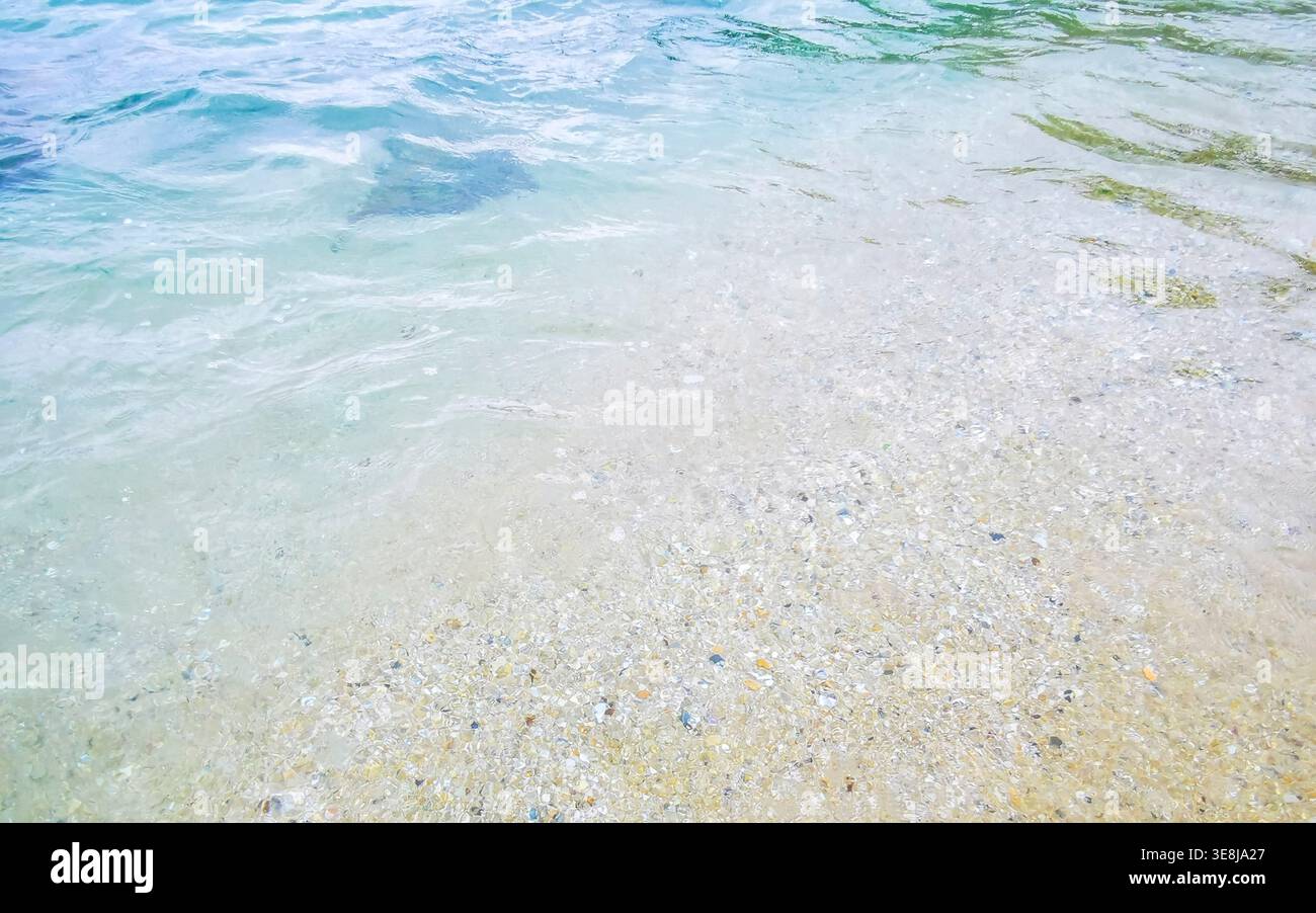 Beach sand with pebbles stones rocks colorful shells mussels and ...