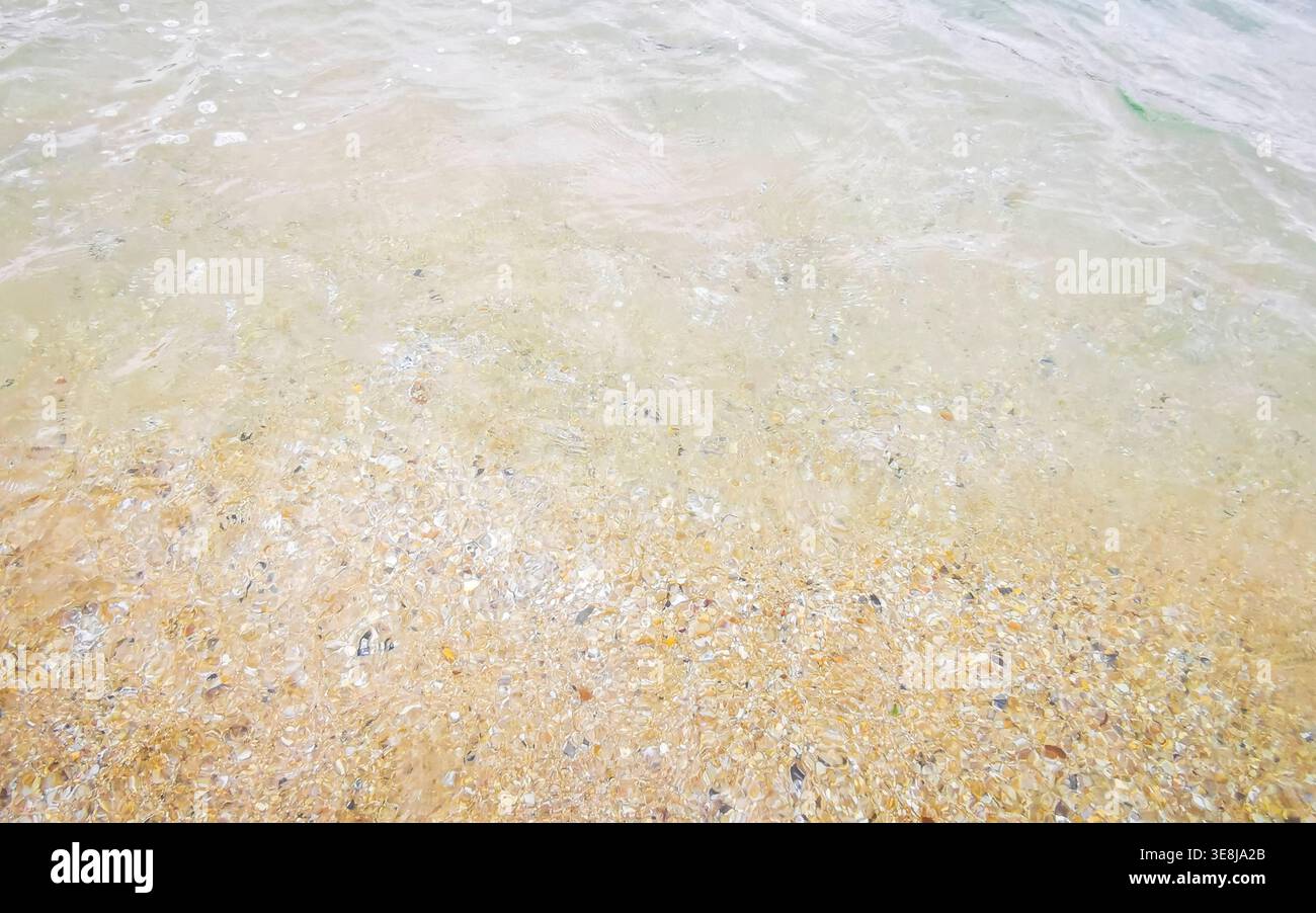 Beach sand with pebbles stones rocks colorful shells mussels and ...