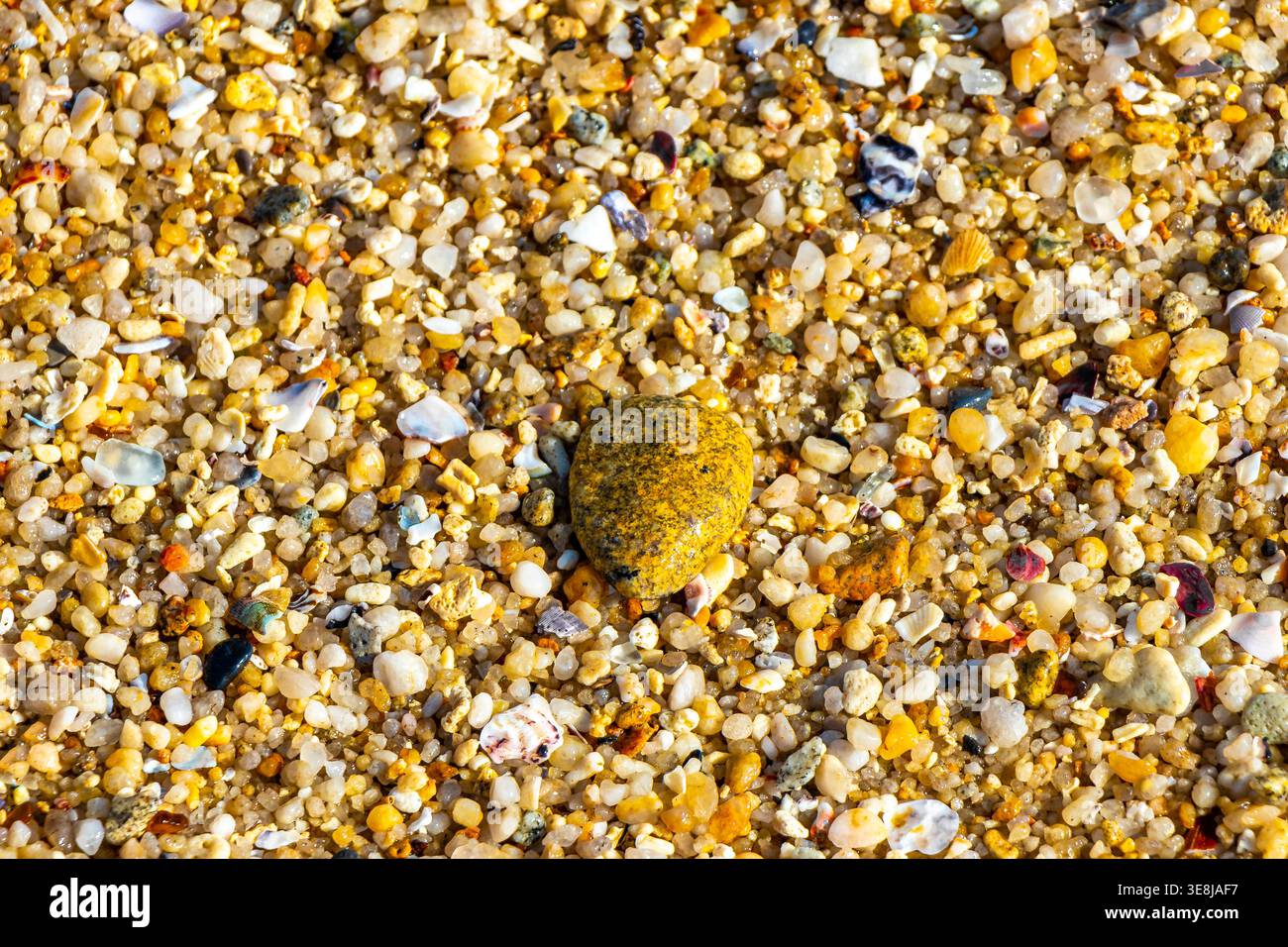 Beach sand with pebbles stones rocks colorful shells mussels and ...