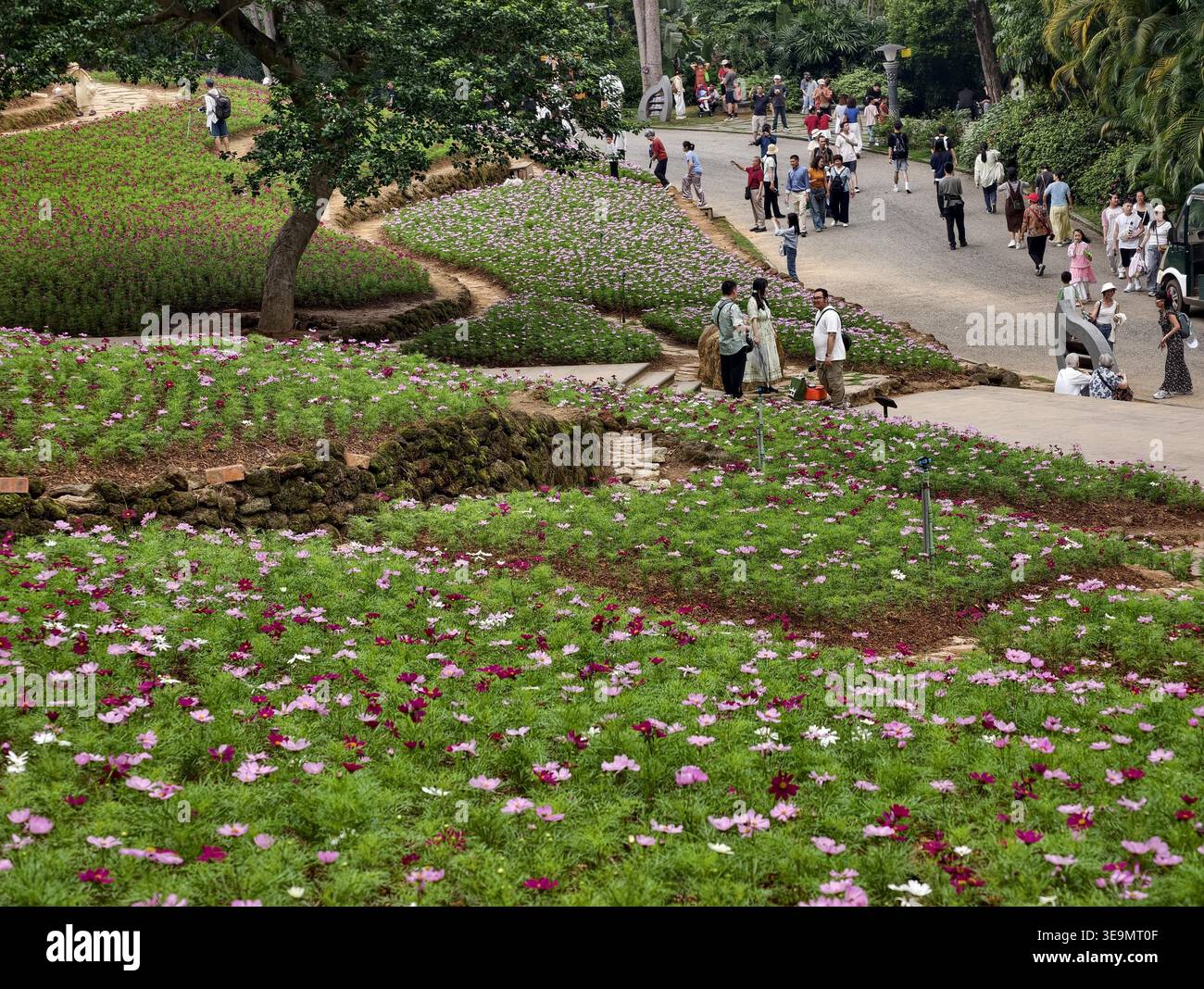 Visitors enjoy the spring scenery at Qingxiu Mountain Scenic Area in ...