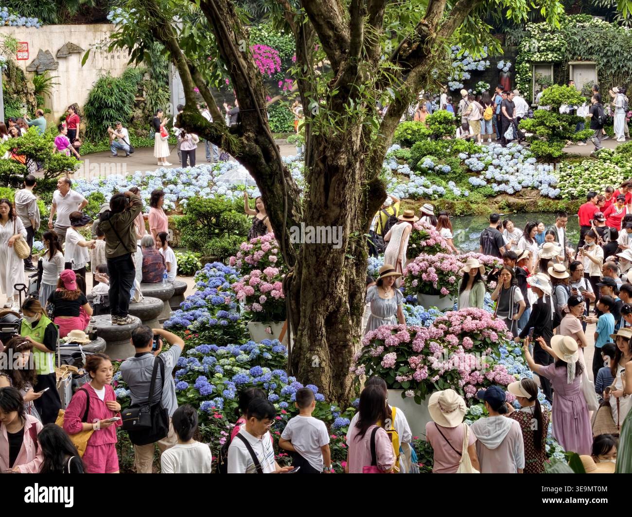 Visitors enjoy the spring scenery at Qingxiu Mountain Scenic Area in ...
