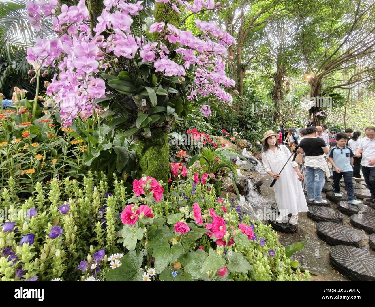 Visitors enjoy the spring scenery at Qingxiu Mountain Scenic Area in ...