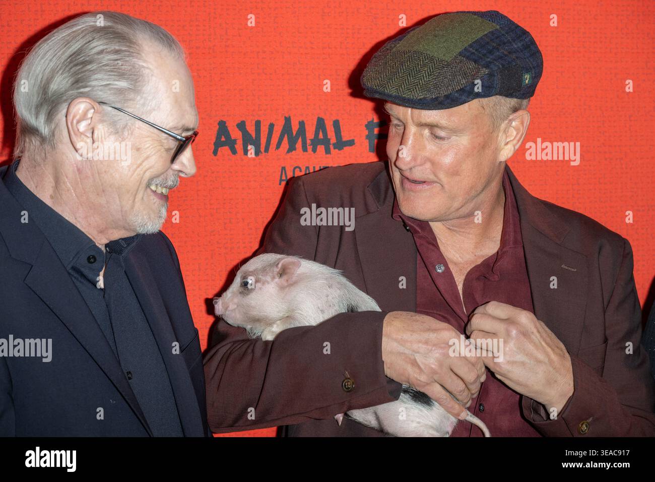 (L-R) Steve Buscemi and Woody Harrelson attend the "Animal Farm" New ...