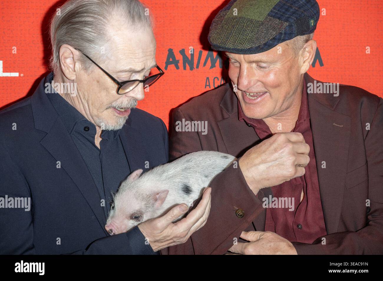 (L-R) Steve Buscemi and Woody Harrelson attend the "Animal Farm" New ...