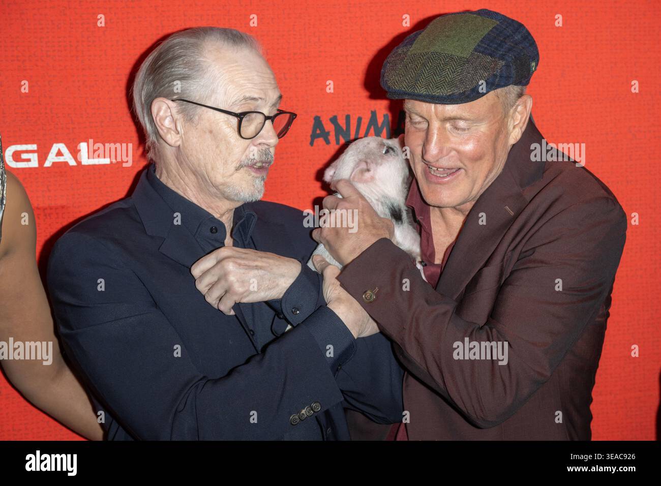 (L-R) Steve Buscemi and Woody Harrelson attend the "Animal Farm" New ...