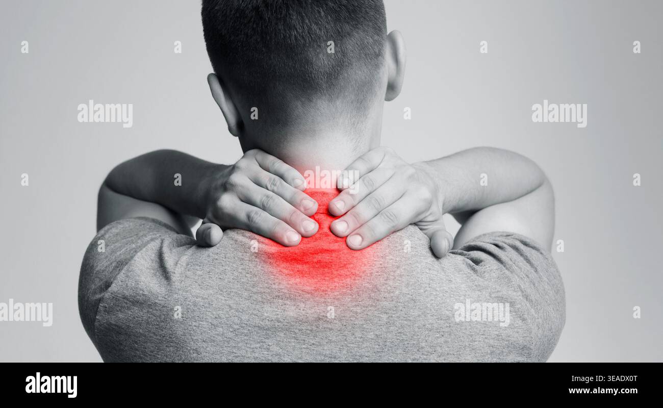 Human anatomy back view hi-res stock photography and images - Alamy