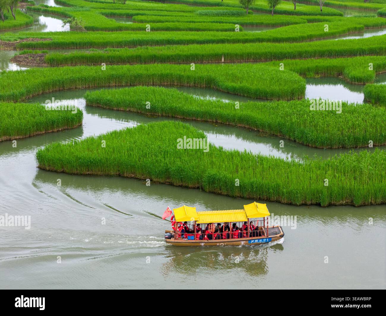 Tourists ride boats through the reed maze in Dazong Lake Scenic Area ...