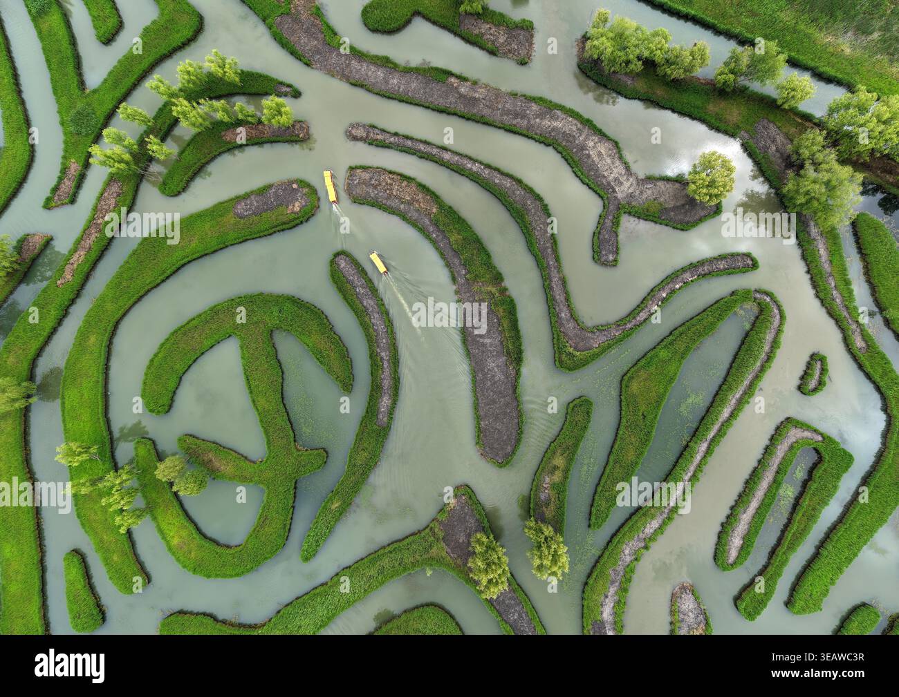 Tourists ride boats through the reed maze in Dazong Lake Scenic Area ...