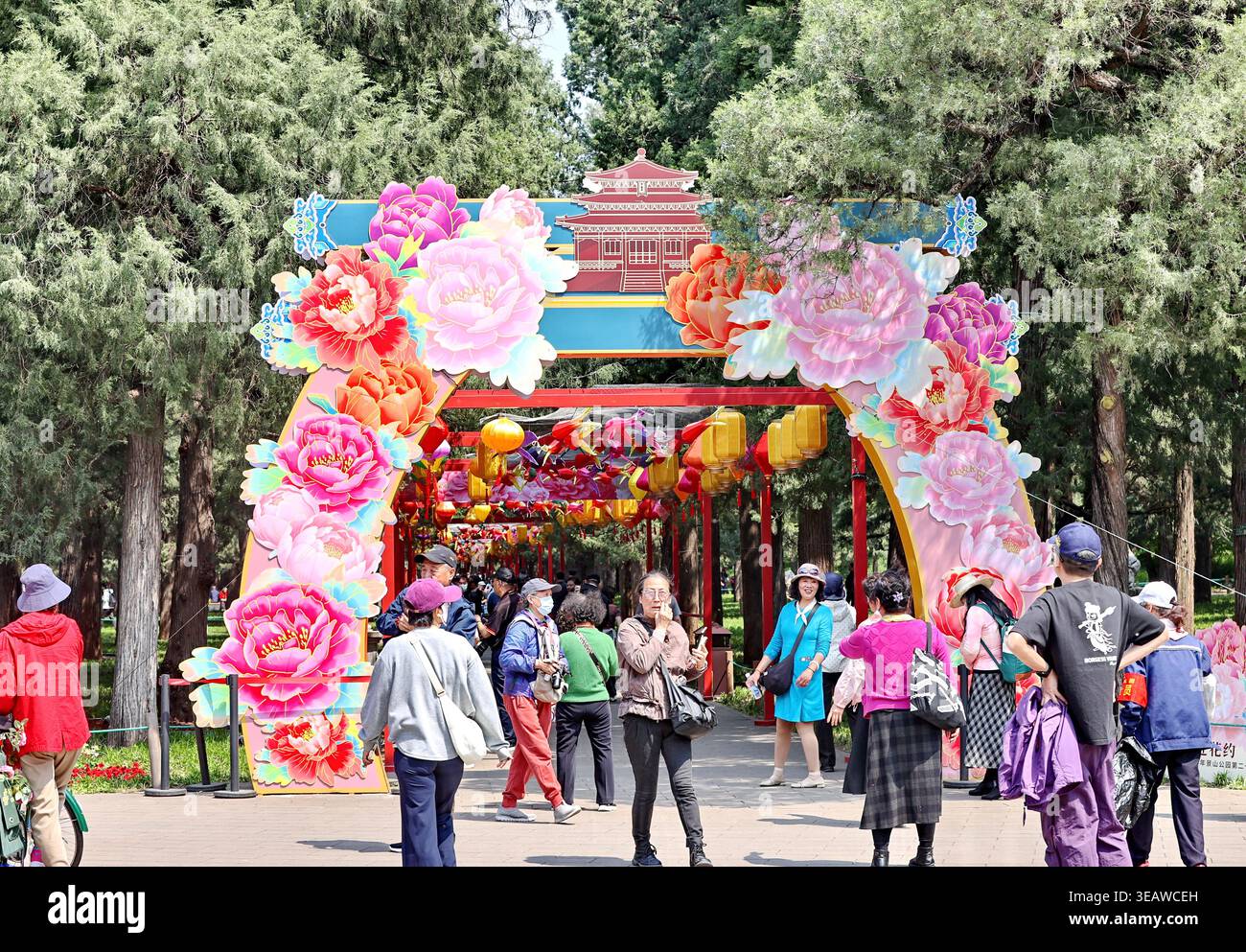 Tourists enjoy peonies in full bloom at Jingshan Park in Beijing ...