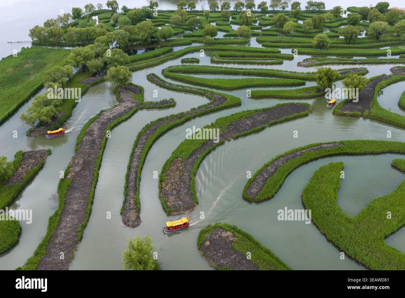 Tourists ride boats through the reed maze in Dazong Lake Scenic Area ...