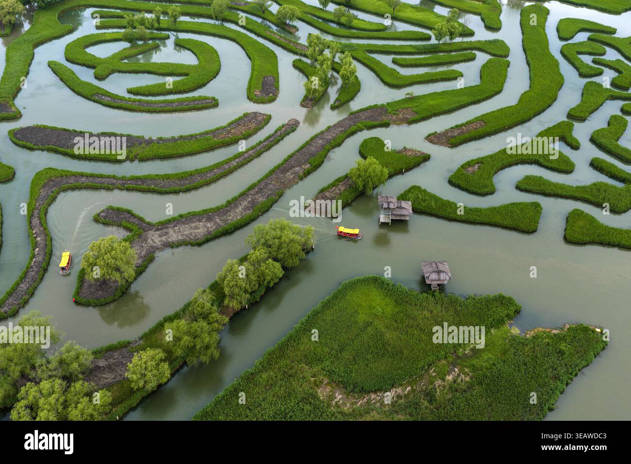 Tourists ride boats through the reed maze in Dazong Lake Scenic Area ...