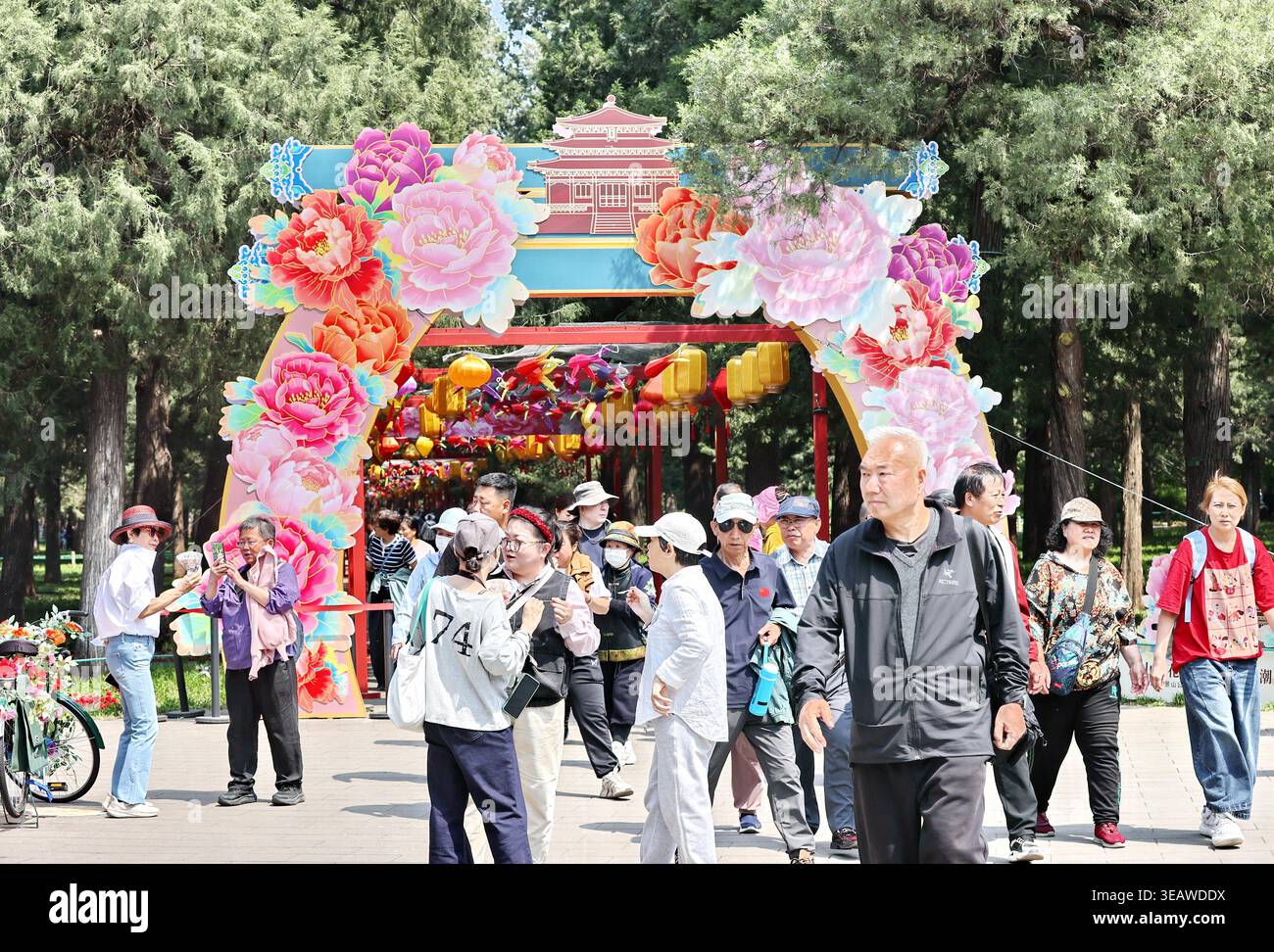 Tourists enjoy peonies in full bloom at Jingshan Park in Beijing ...