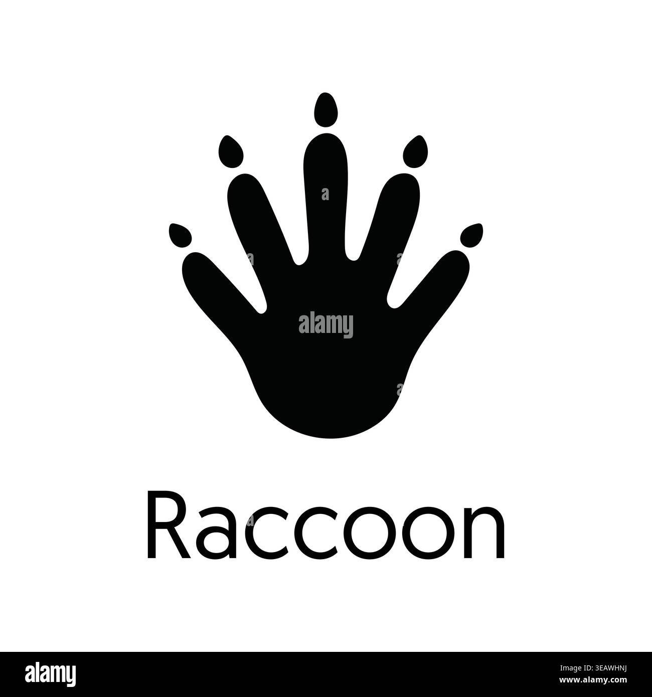 Raccoon Footprint Print Silhouette Vector Icon Black Isolated Wildlife ...