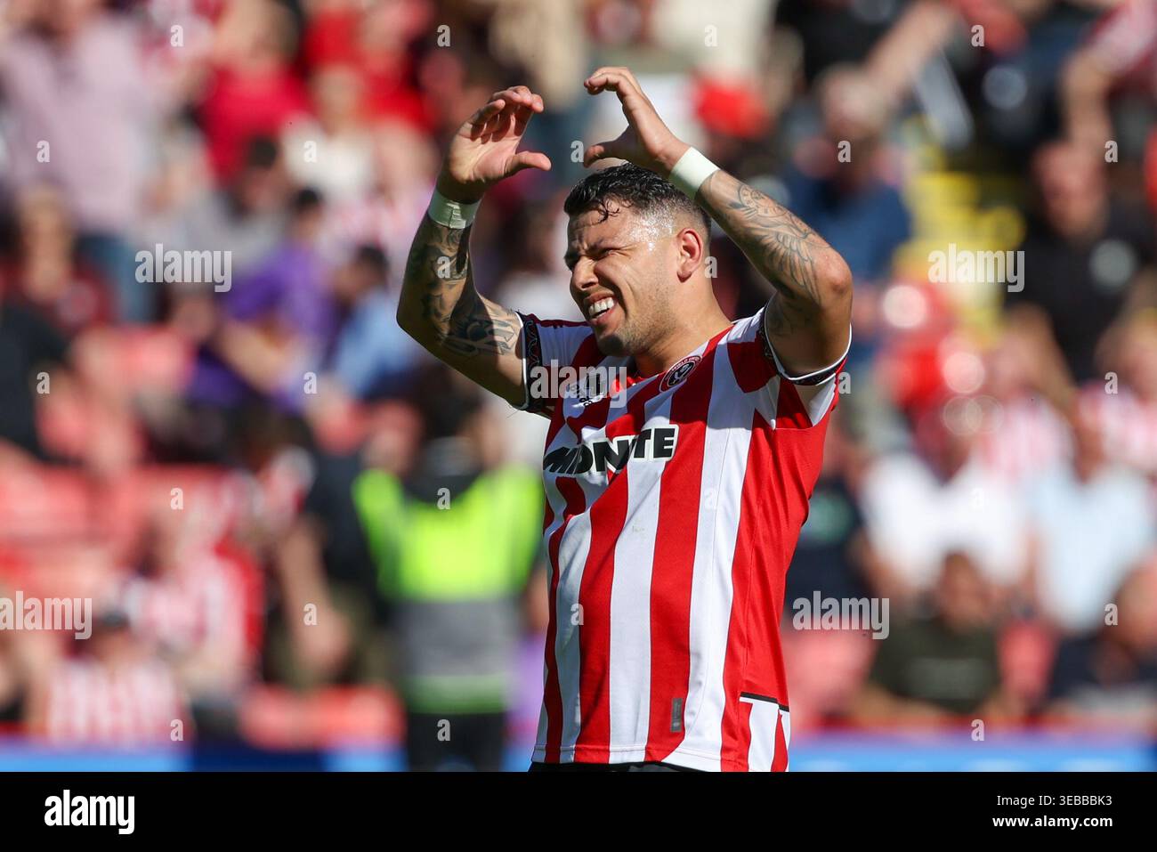 25th April 2026; Bramall Lane, Sheffield, England; EFL Championship ...