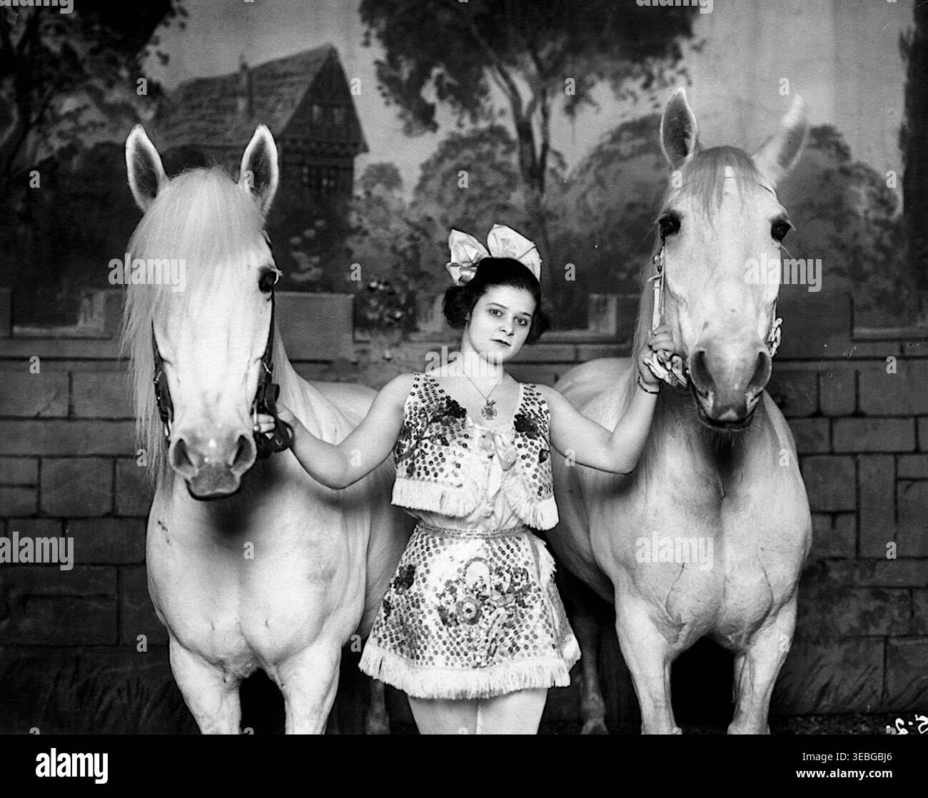 Circus horse hi-res stock photography and images - Alamy