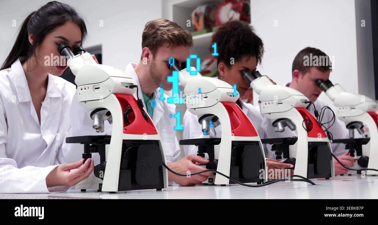 Watching team in lab coats peering into microscopes tuning focus at lab ...