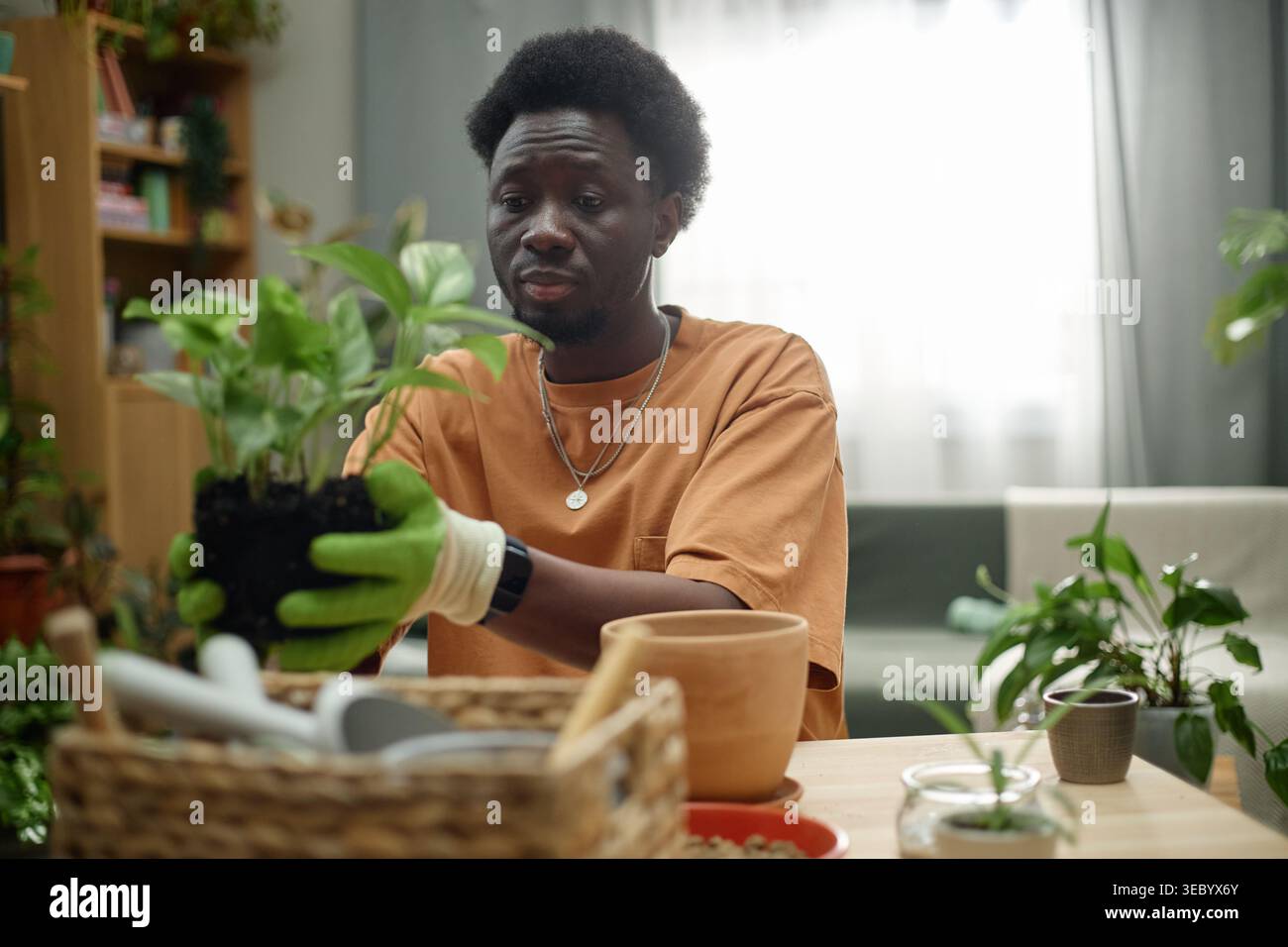 Black man repotting houseplant hi-res stock photography and images - Alamy