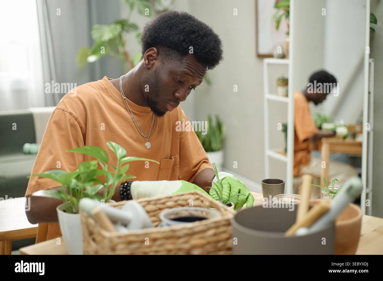 Black man repotting houseplant hi-res stock photography and images - Alamy