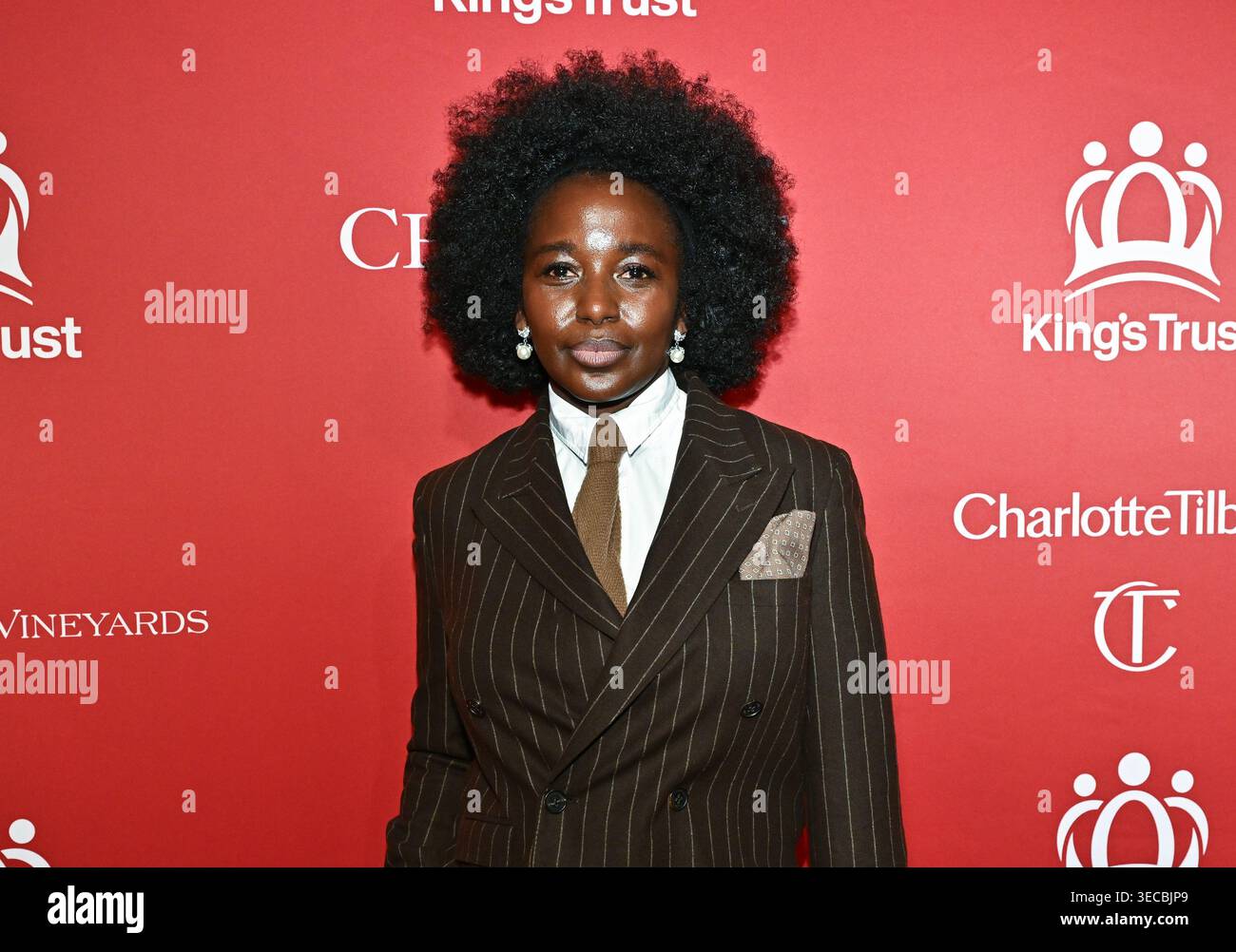 Nelly Moudime attends The King's Trust Global Gala 50th anniversary at ...