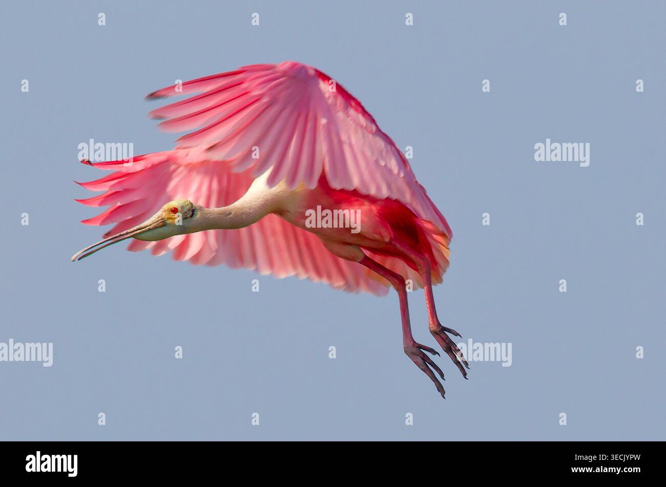 Terrebonne louisiana hi-res stock photography and images - Alamy