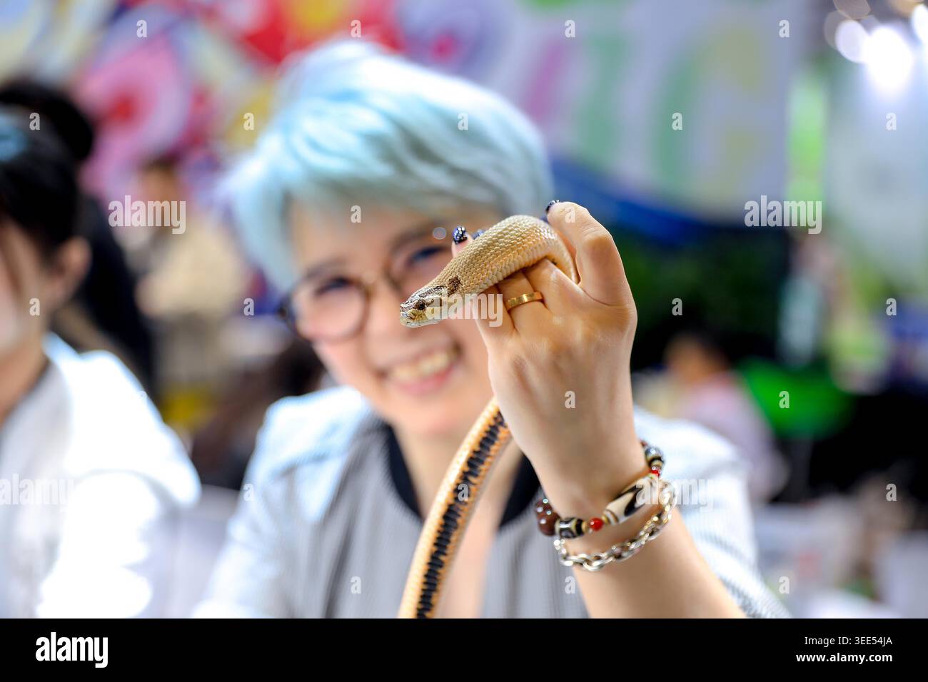 Visitors view exhibited pet snakes (Western Hognose) at the 6th TOPS ...