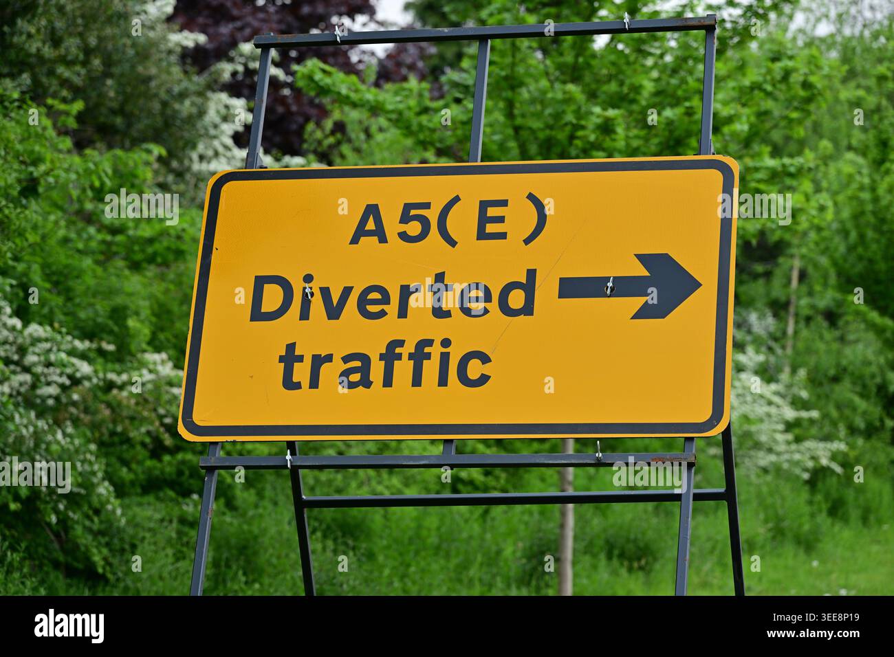 Roadside vegetation detail hi-res stock photography and images - Alamy