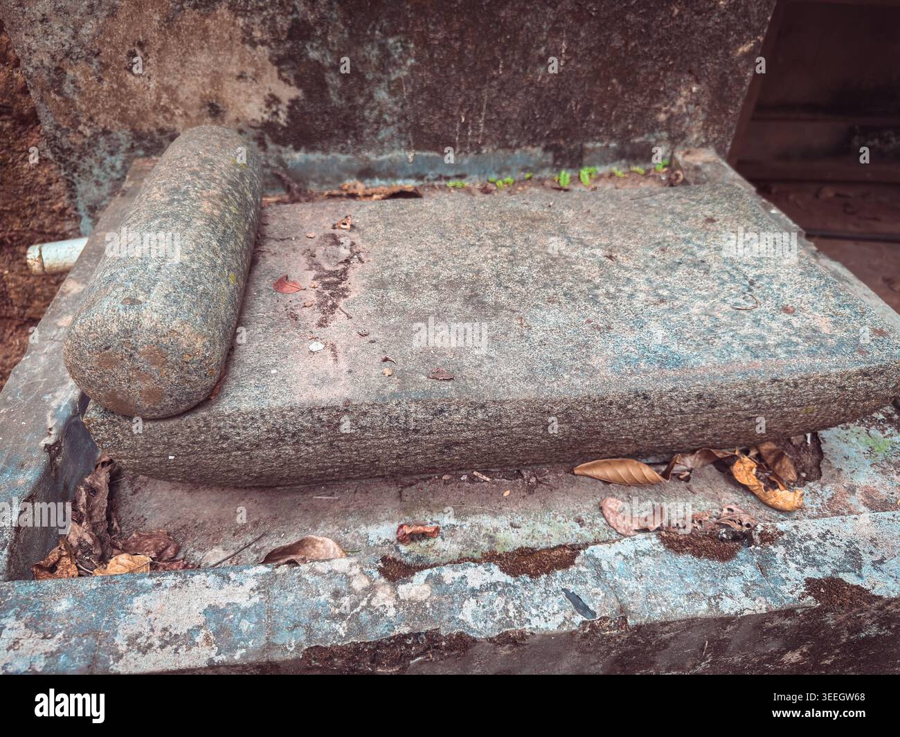 Ammi kallu hi-res stock photography and images - Alamy