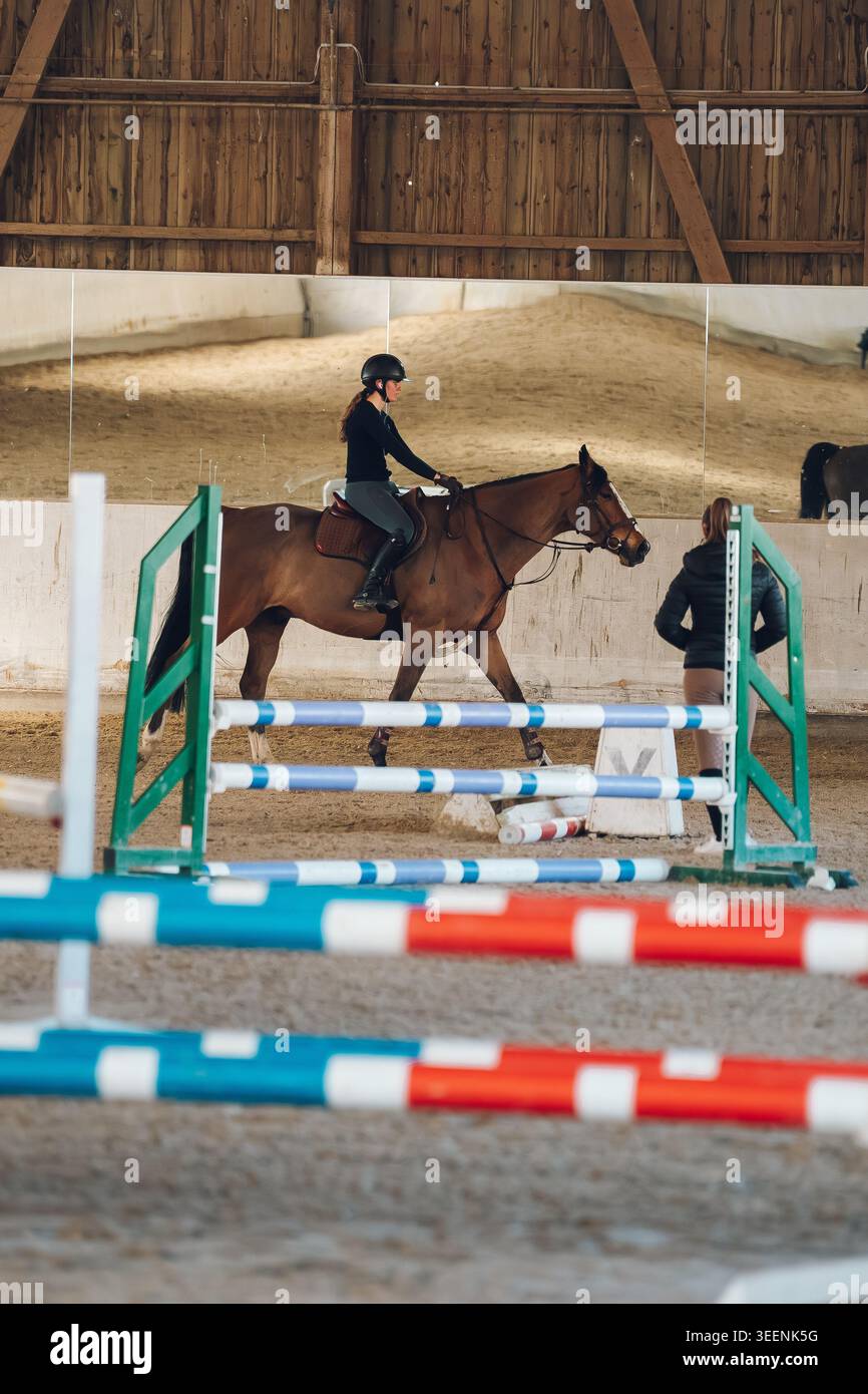 Equestrian rider practicing show jumping with horse and coach in an ...